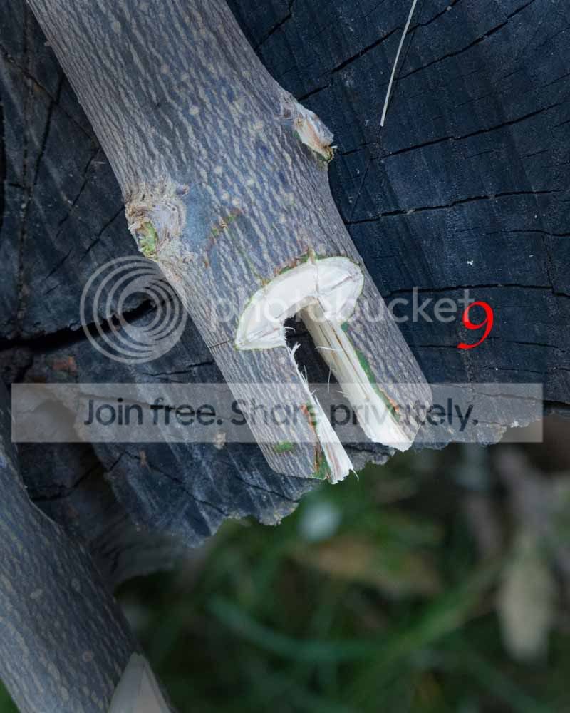 Mors Kochanski "Try" Stick | BladeForums.com