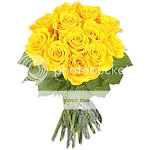 A Dozen Roses | Hearts Thoughts